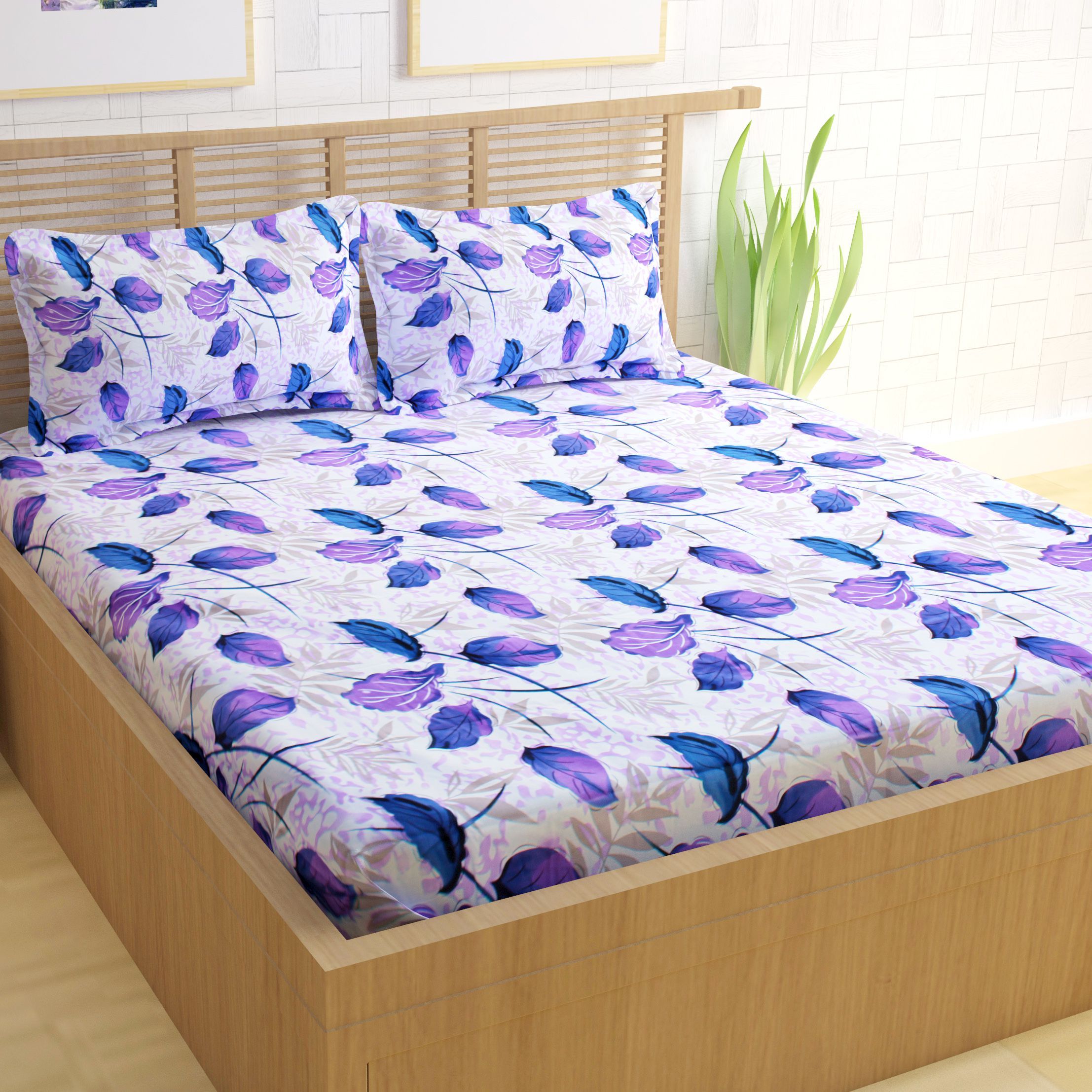 Divine Casa Cotton Double Bedsheet With 2 Pillow Covers Buy Divine Divine Casa Cotton Double Bedsheet With 2 Pillow Covers Buy Divine