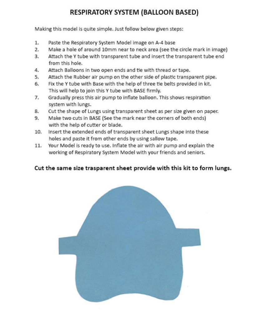 Melody's Respiratory System Using Baloon Physics Science Working Model ...
