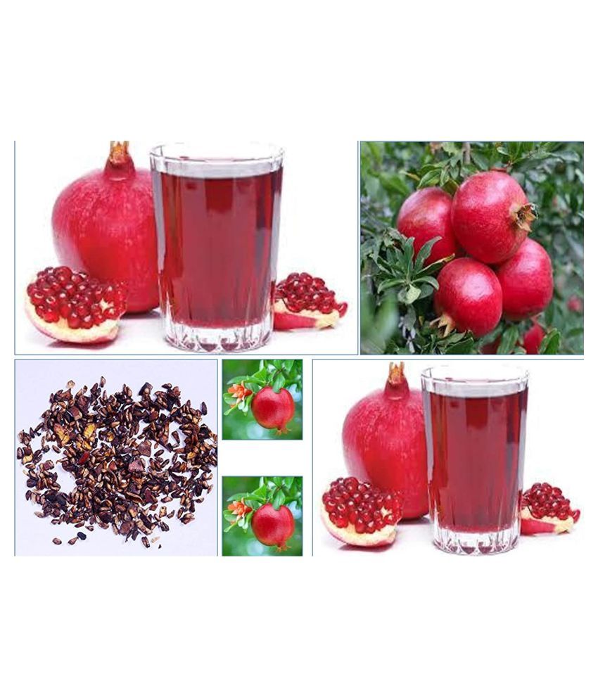 Green India POMEGRANATE Big Fruit Seed Anar -Madulai Fruit Seed - Pack ...