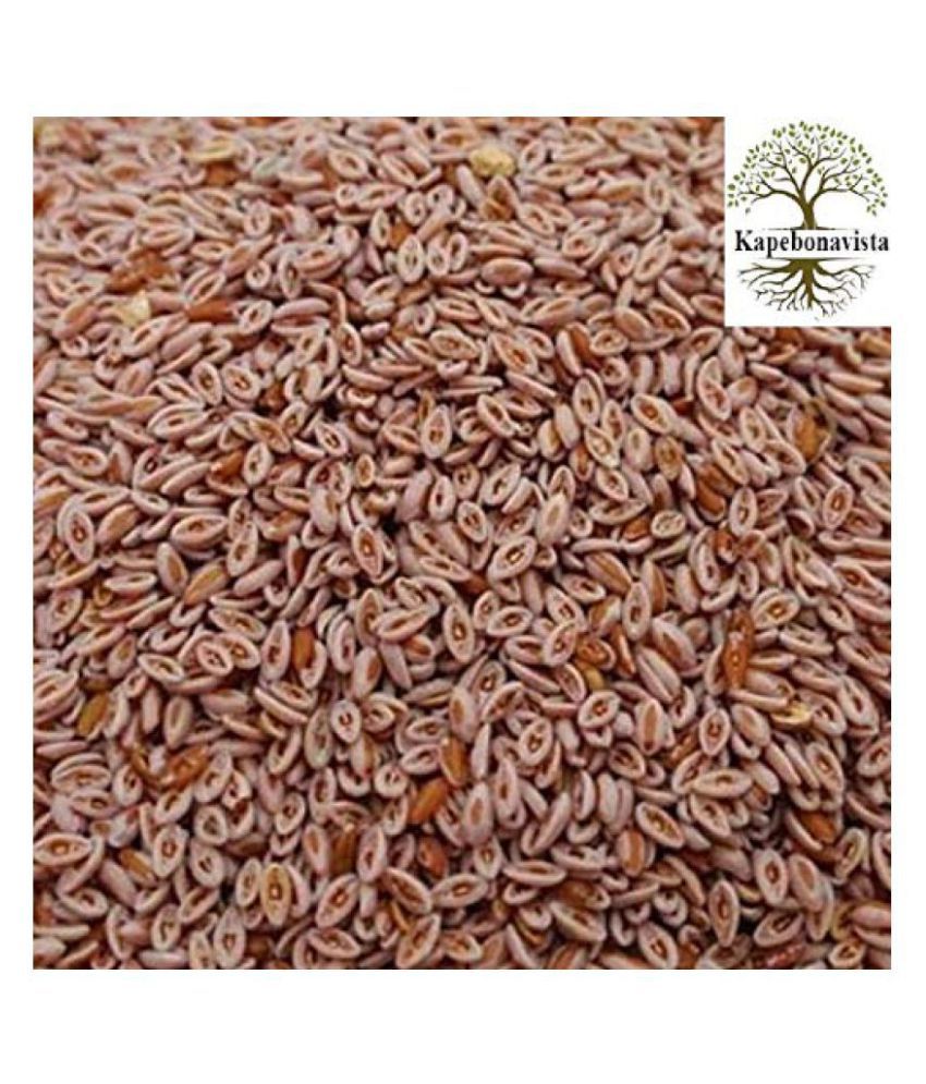 Kapebonavista Isbagol Beej Plantago Ispagula Seed 250gm Herbs Buy