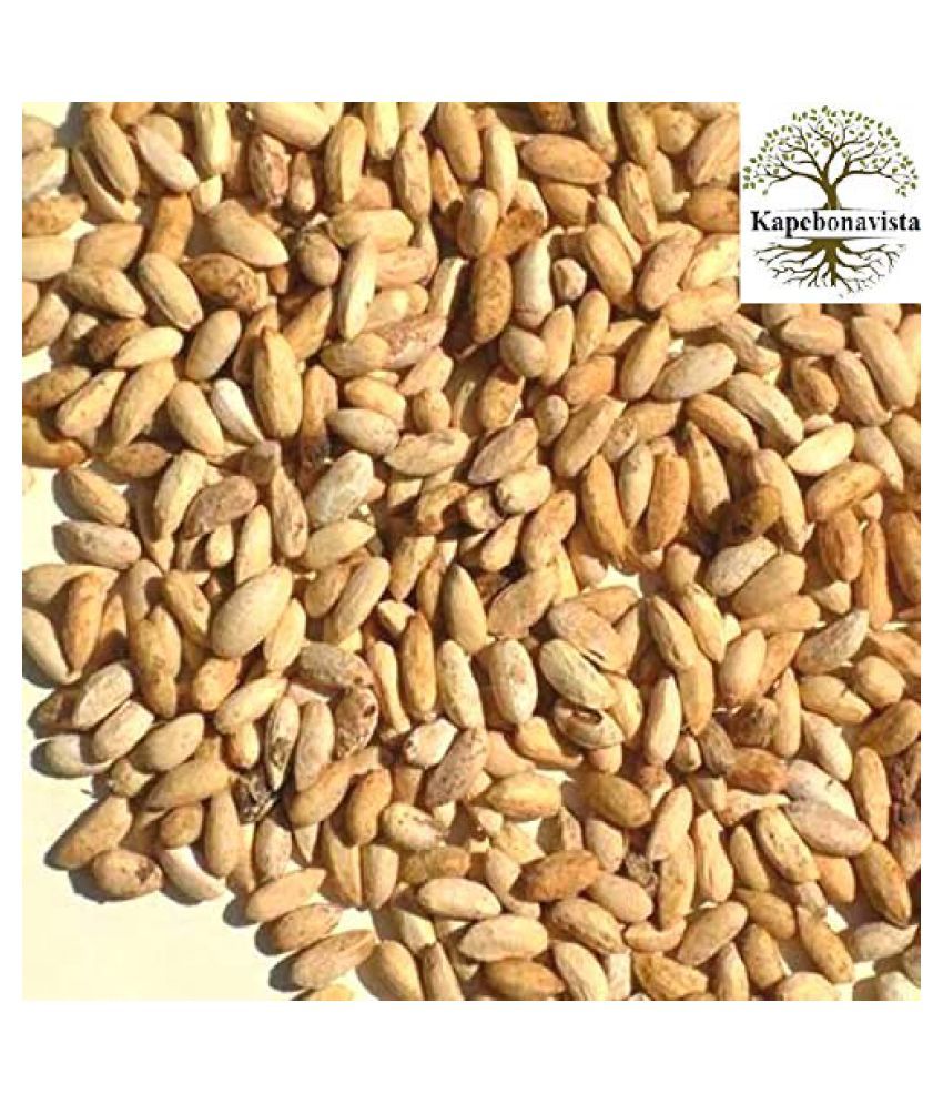 Kapebonavista Neem Seeds Azadirachta Indica 150g Raw Herbs 1 No S Pack